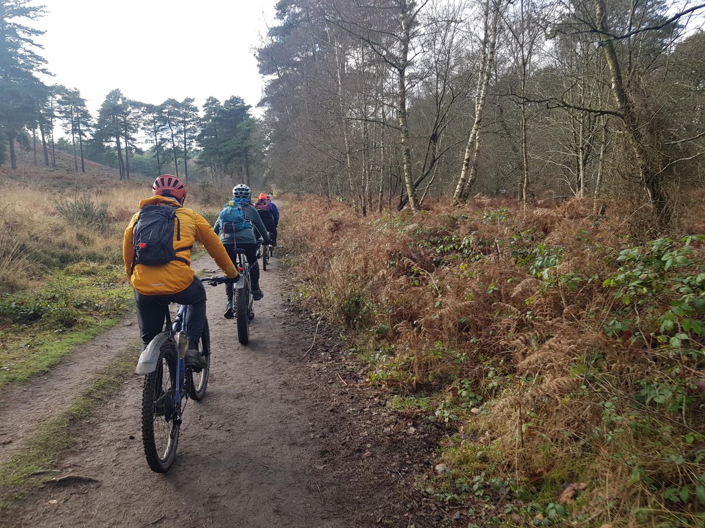 Top 10 off-road routes in the Surrey Hills | Cycling UK